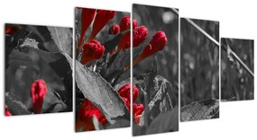 Červené květy - moderní obrazy