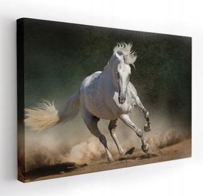 YESTU Obraz na plátně 120x80cm,3D efekt, bílý kůň
