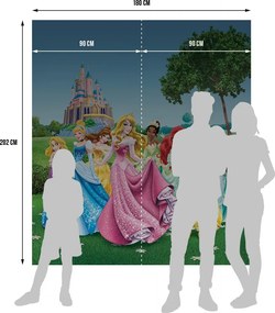 Dětská vliesová fototapeta na zed' Princezny, Disney | 180 x 202 cm | DFTDNXL 5112