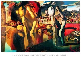 Umělecký tisk Salvador Dali - Metamorphosis Of Narcissus, Salvador Dalí, (70 x 50 cm)