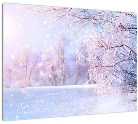 Skleněný obraz - Mrazivá zima (70x50 cm)
