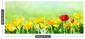 Fototapeta Žluté tulipány 104x70