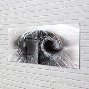 akrylový obraz psí čumák 125x50 cm
