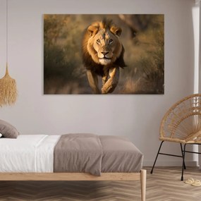 Obraz na plátně - Lev v divoké přírodě FeelHappy.cz Velikost obrazu: 40 x 30 cm