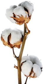 Gipetex Natural Dream 3D italské povlečení 100% bavlna Pupazo di Neve - Sněhulák - 140x200 / 70x90 cm
