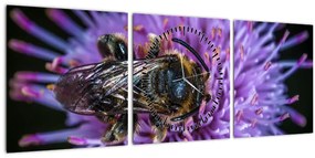 Obraz včely na květině (s hodinami) (90x30 cm)