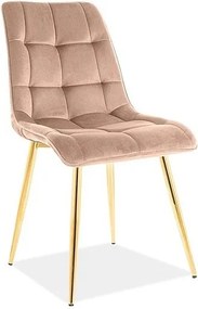 Čalouněná jídelní židle Chic Gold Velvet béžová