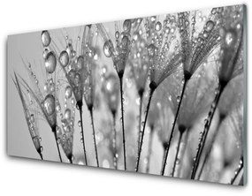 akrylový obraz Pampeliška Rostlina 140x70 cm