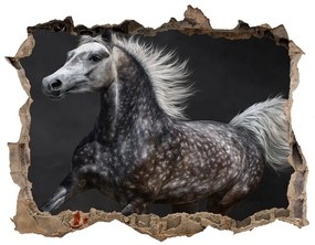 Wallmuralia Díra 3D fototapeta na stěnu Šedý arabský kůň 95x64 cm