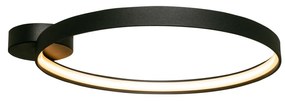 Moderní LED stropní lampa Circle 55 černá