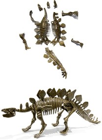 Aga4Kids Sada pro malé paleontology Stegosaurus