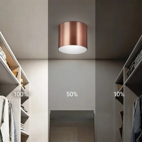 Immax NEO 07319L - LED Stm stropní sv RONDATE 18W/230V 11,5 cm Wi-Fi Tuya rose
