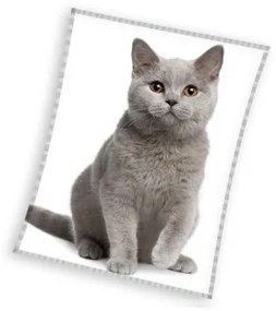 Tiptrade Dětská mikroplyšová deka 150 x 200 cm - Britská Kočka Šedá