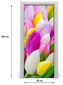 Samolepící fototapeta na dveře barevné tulipány 85x205 cm