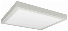 LED Stropní svítidlo FENIX LED/32W/230V 3800K 40 cm bílá