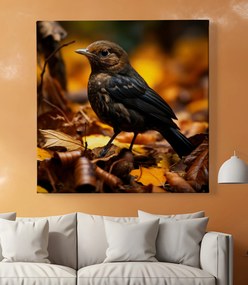 Obraz na plátně - Černý ptáček hledá potravu v listí FeelHappy.cz Velikost obrazu: 140 x 140 cm
