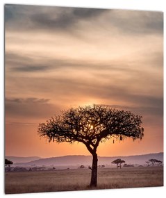 Obraz západu slunce v Tanzanii (30x30 cm)
