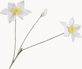 Sada umělých květin Clematis, 2 díly