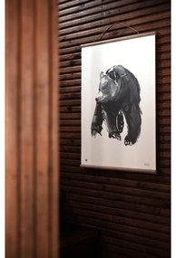 Plakát Gentle Bear 50x70