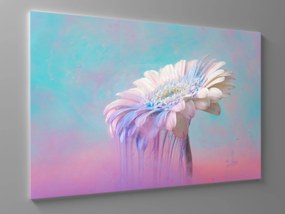 Růžovomodrý obraz gerbera Rozměr: 90 x 60 cm