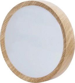 BRILAGI - LED Stropní svítidlo NATURA LED/12W/230V 4000K pr. 26,3 cm