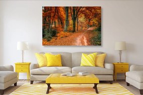 Obraz les v podzimním období - 90x60 cm
