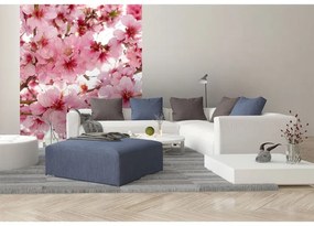 DIMEX | Vliesová fototapeta na zeď Květy jabloní MS-3-0108 | 225 x 250 cm | růžová, bílá, béžová
