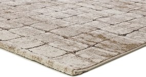 Šedobéžový koberec 80x120 cm Ceres – Universal
