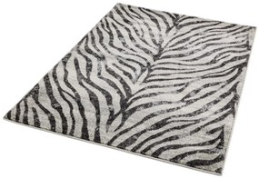 Šedý  koberec Dinamo Zebra Grey Rozměry: 160x230 cm