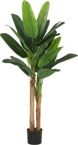 HOMCOM sada 2 kusů umělých pokojových rostlin 150 cm, banánovníky v květináči, dekorace pro domov, kancelář, obývací pokoj, ložnici