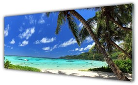 akrylový obraz Palma Strom Moře Krajina 125x50 cm