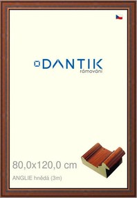 DANTIK rámeček 80x120 | ANGLIE hnědá (Plexi Čiré)