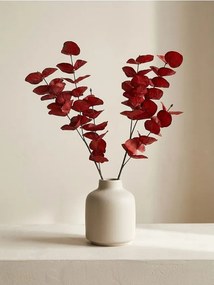 Sinsay - Dekorativní rostlina – eukalyptus - červená