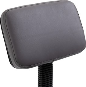 HOMCOM Rolovací stolička Výškově nastavitelná pracovní stolička s opěradlem, otočná salonní stolička z imitace kůže Šedá Ø35 x 72-84 cm pro masáže a …