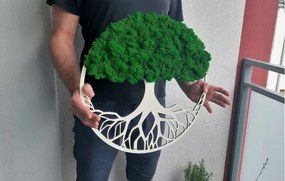 OznTo Obraz strom s mechem 40cm zelený