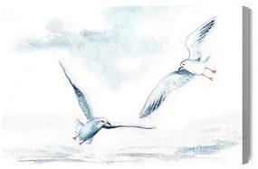 Obraz Bílí Ptáci S Akvarelem Malované Nedostatek Nedostatek Přírodní plátno 100x70