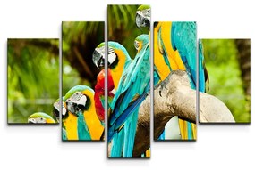 Sablio Obraz - 5-dílný Papoušci na větvi - 125x90 cm