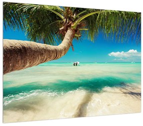 Obraz čistého moře s palmou (70x50 cm)
