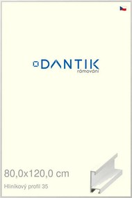 DANTIK rámeček 80x120 | ALU profil 6035 Dýha bílá (Plexi Čiré)
