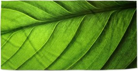 Sablio Ručník List - 30x50 cm
