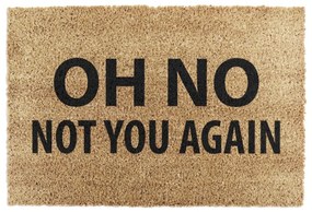 Rohožka z kokosového vlákna 40x60 cm Not You Again – Artsy Doormats