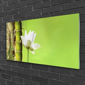 Obraz na skle Bambus Stonek Rostlina Příroda 120x60 cm