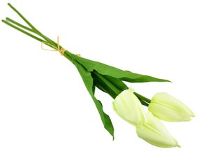Svazek 3 ks tulipánů krémové 50 cm