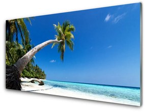 Plexisklo-obraz Pláž Palma Moře Krajina 140x70 cm