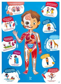 Puzzle - lidské tělo - 60 ks