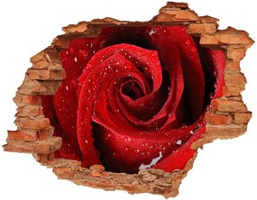 Wallmuralia Samolepící nálepka na zeď Kapky na růži 90x70 cm