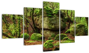 Obraz kouzelného lesa (125x70 cm)