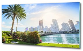Wallmuralia Foto-obraz fotografie na skle Miami USA 100x50