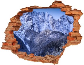 Wallmuralia Fototapeta díra na zeď Gievont Tatry 90x70 cm