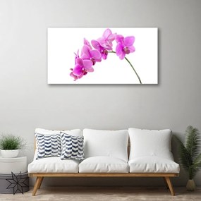 Obraz na skle Vstavač Květ Orchidej 100x50 cm
